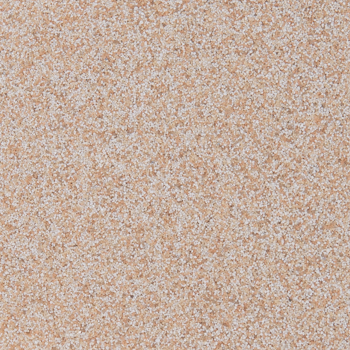 Breaking Dawn – Aras Flake